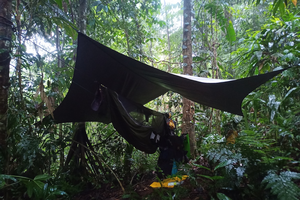 Rainforest Survival