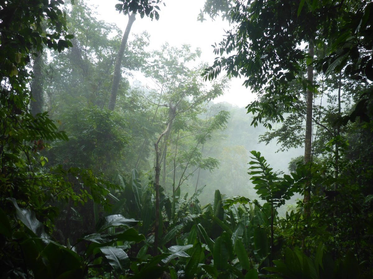Into the Unknown: Why True Adventure Can’t Be Planned | Wild Globe ...